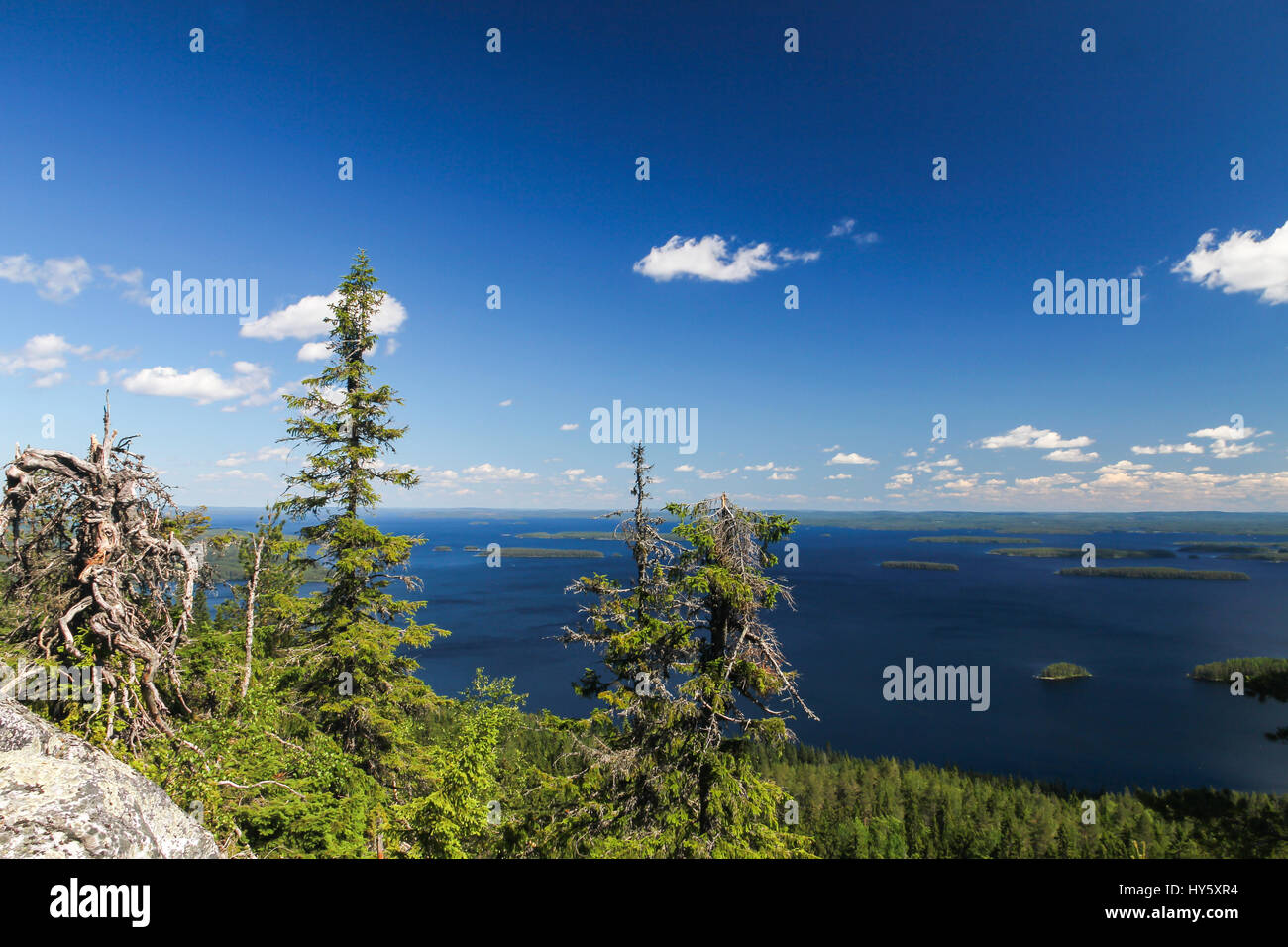 Koli koli immagini e fotografie stock ad alta risoluzione - Alamy