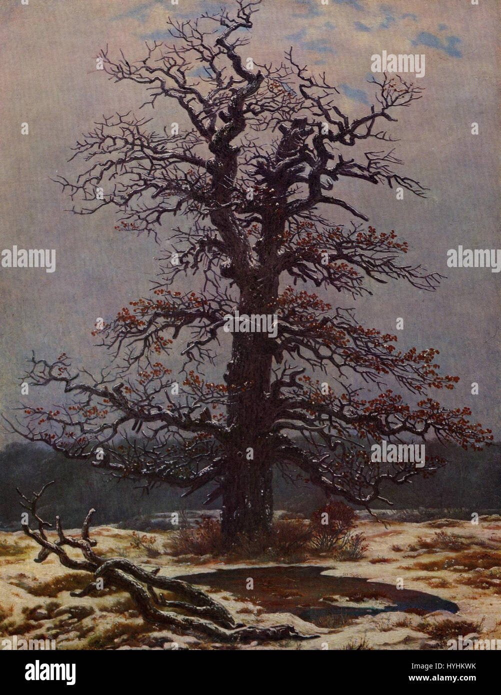 David schnee immagini e fotografie stock ad alta risoluzione - Alamy