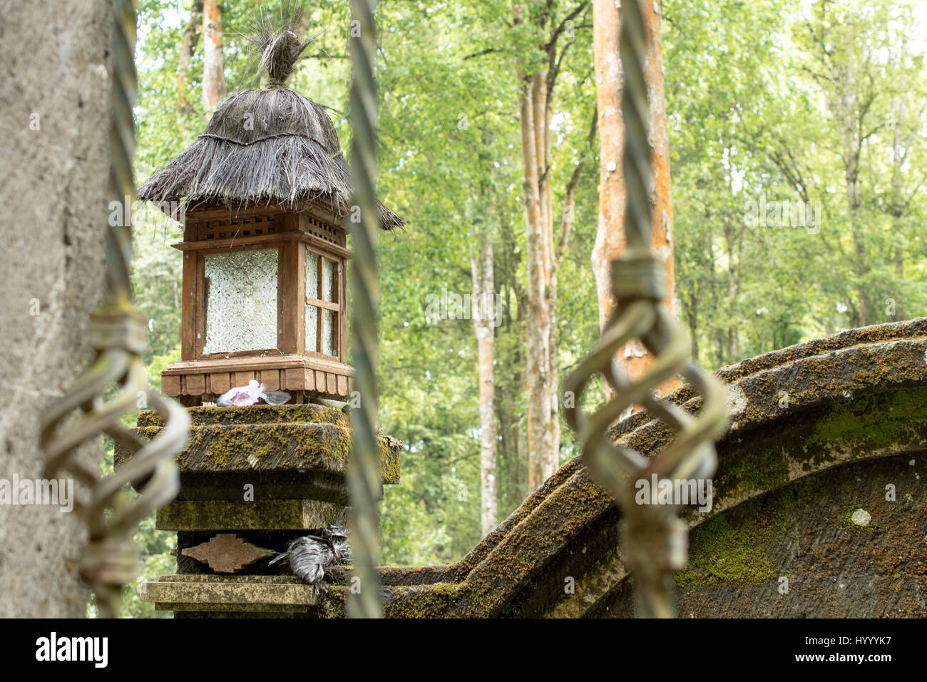 Kebun raya bali immagini e fotografie stock ad alta risoluzione - Alamy