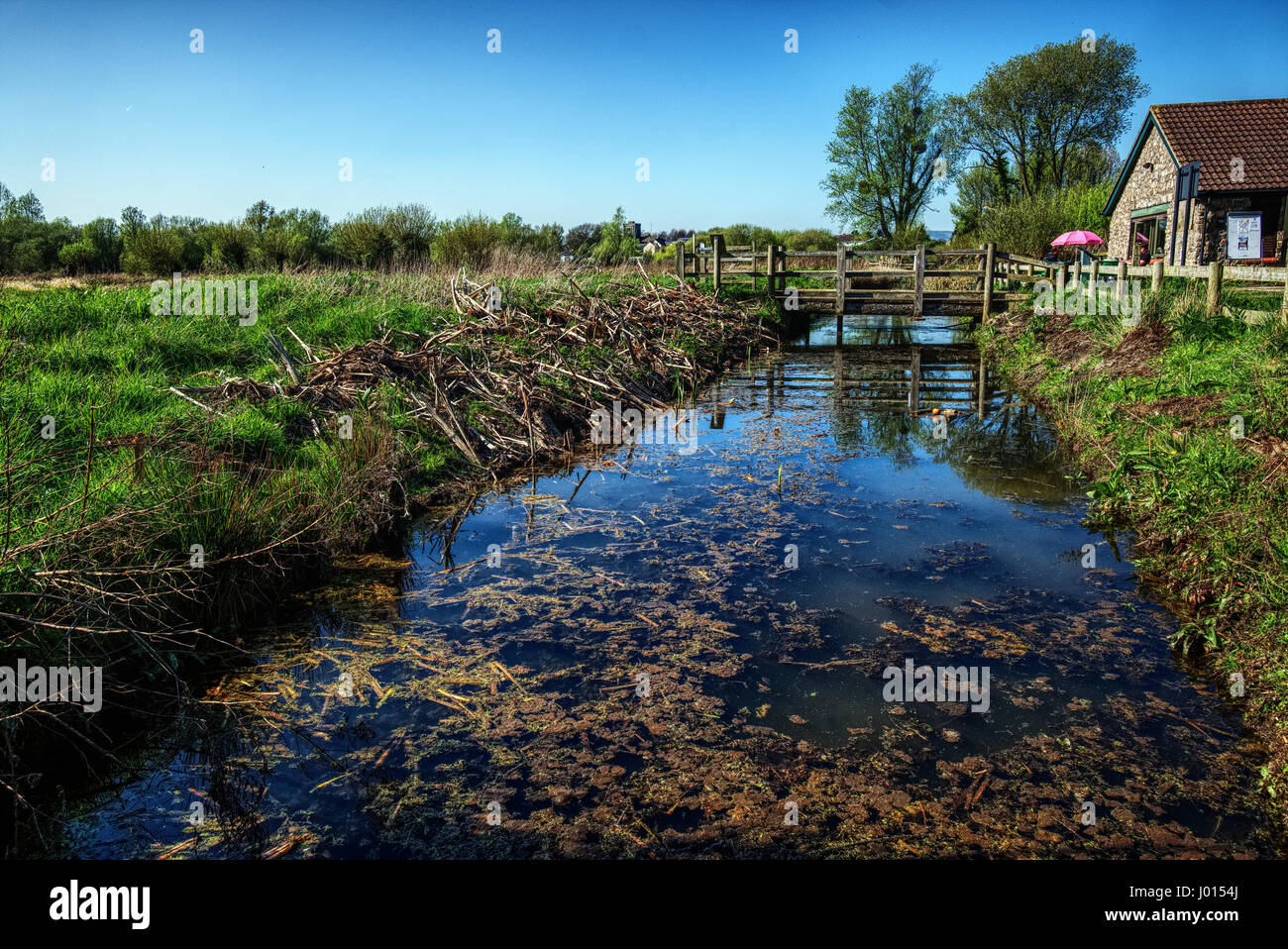 Riserva naturale di upton fen immagini e fotografie stock ad alta ...