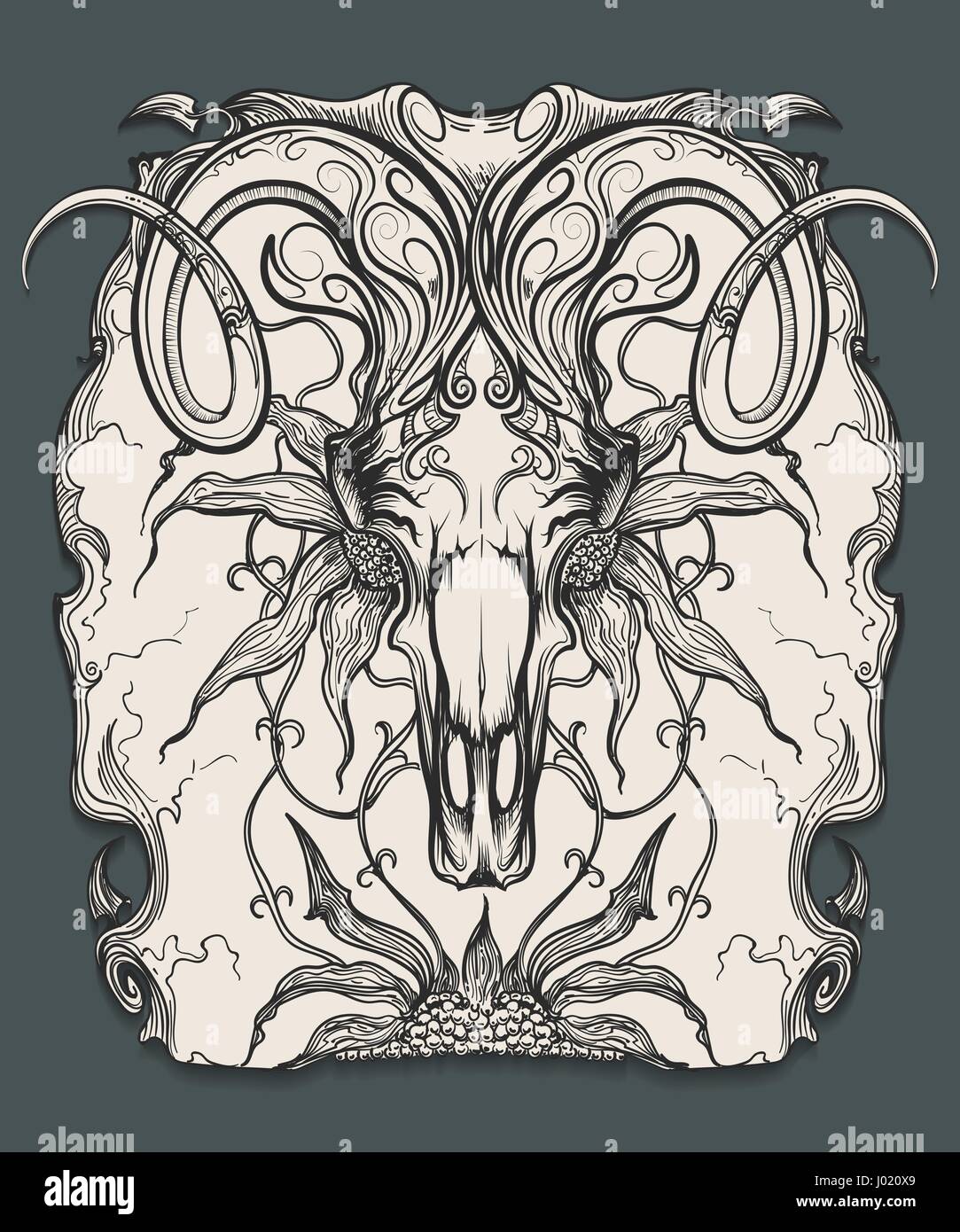 Teschio capra disegno vintage immagini e fotografie stock ad alta ...