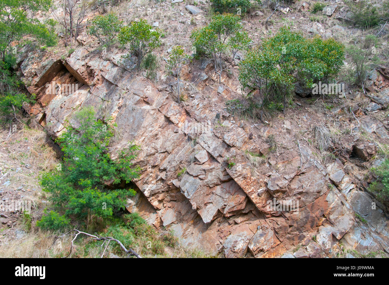 Rocce ordoviciane immagini e fotografie stock ad alta risoluzione - Alamy