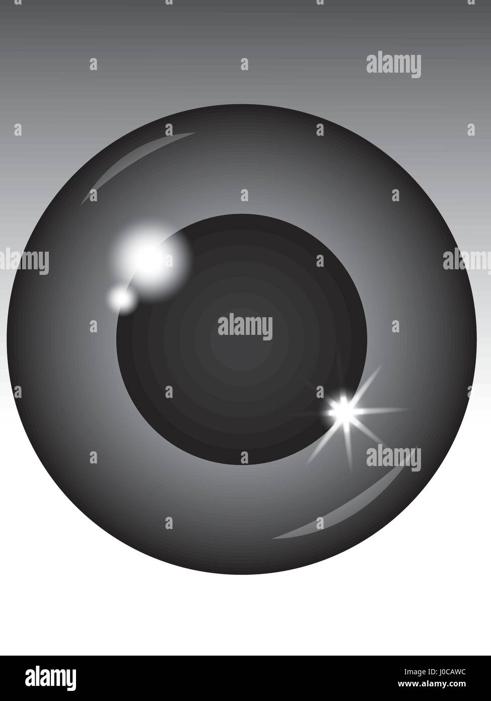 Bulbo oculare anatomia Immagini Vettoriali Stock - Alamy