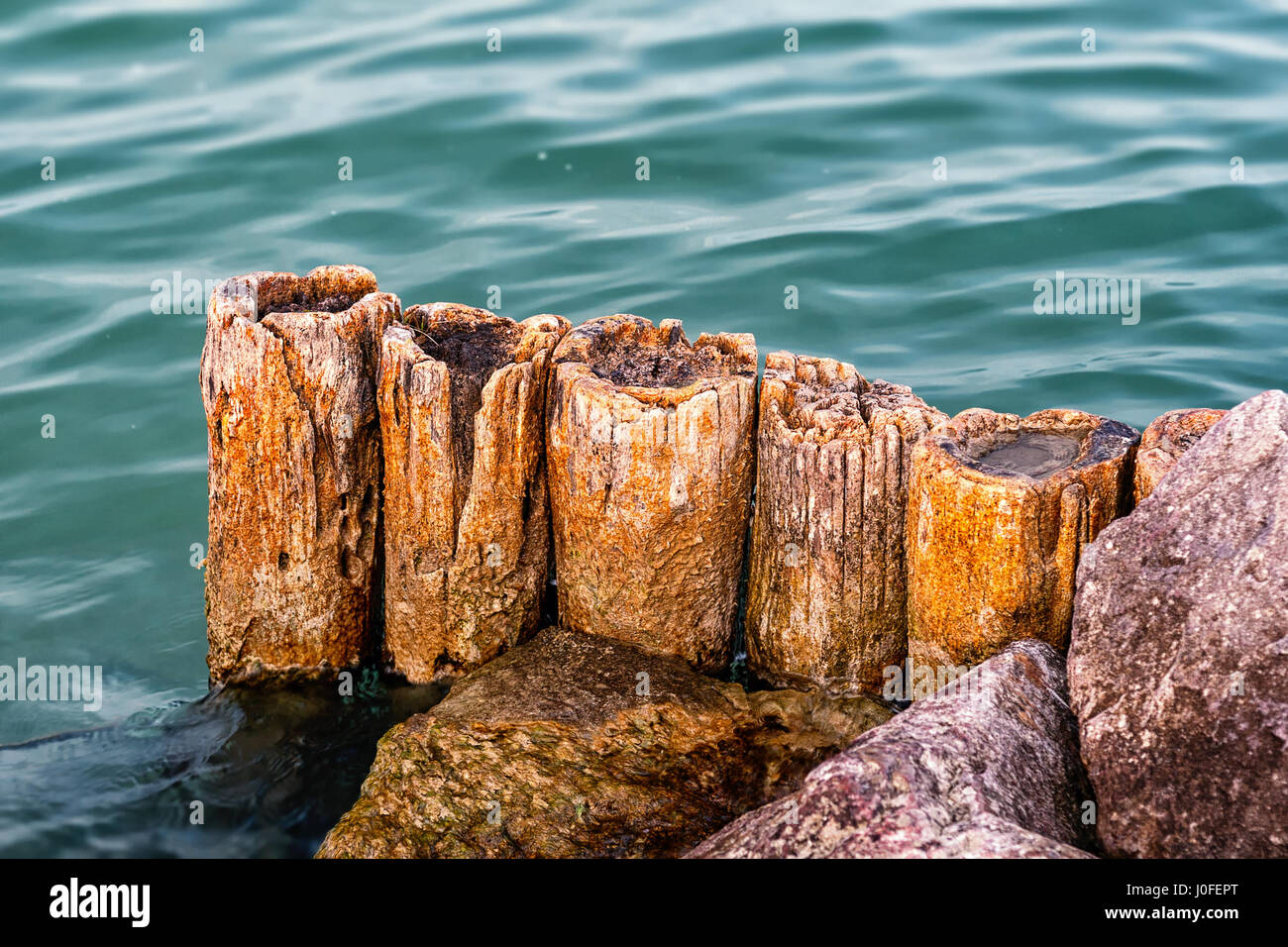 Legname marcio o legno immagini e fotografie stock ad alta risoluzione ...