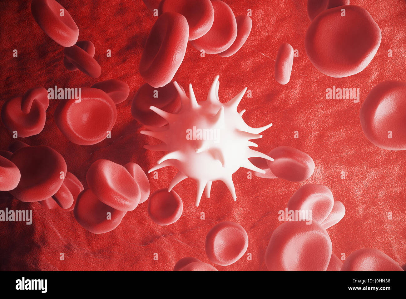 Diagramma Dei Globuli Bianchi
