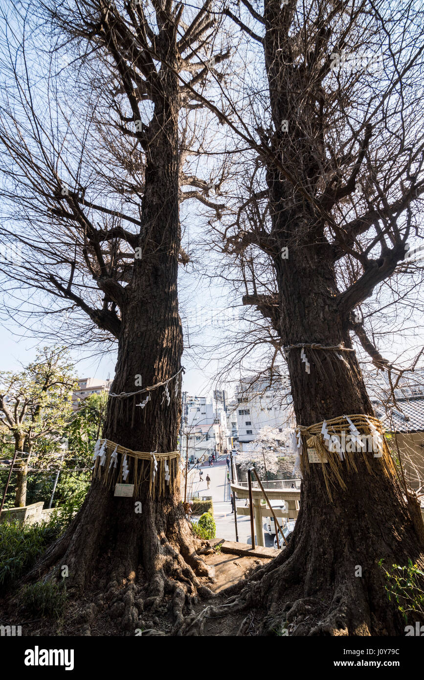Santuario suijin immagini e fotografie stock ad alta risoluzione - Alamy
