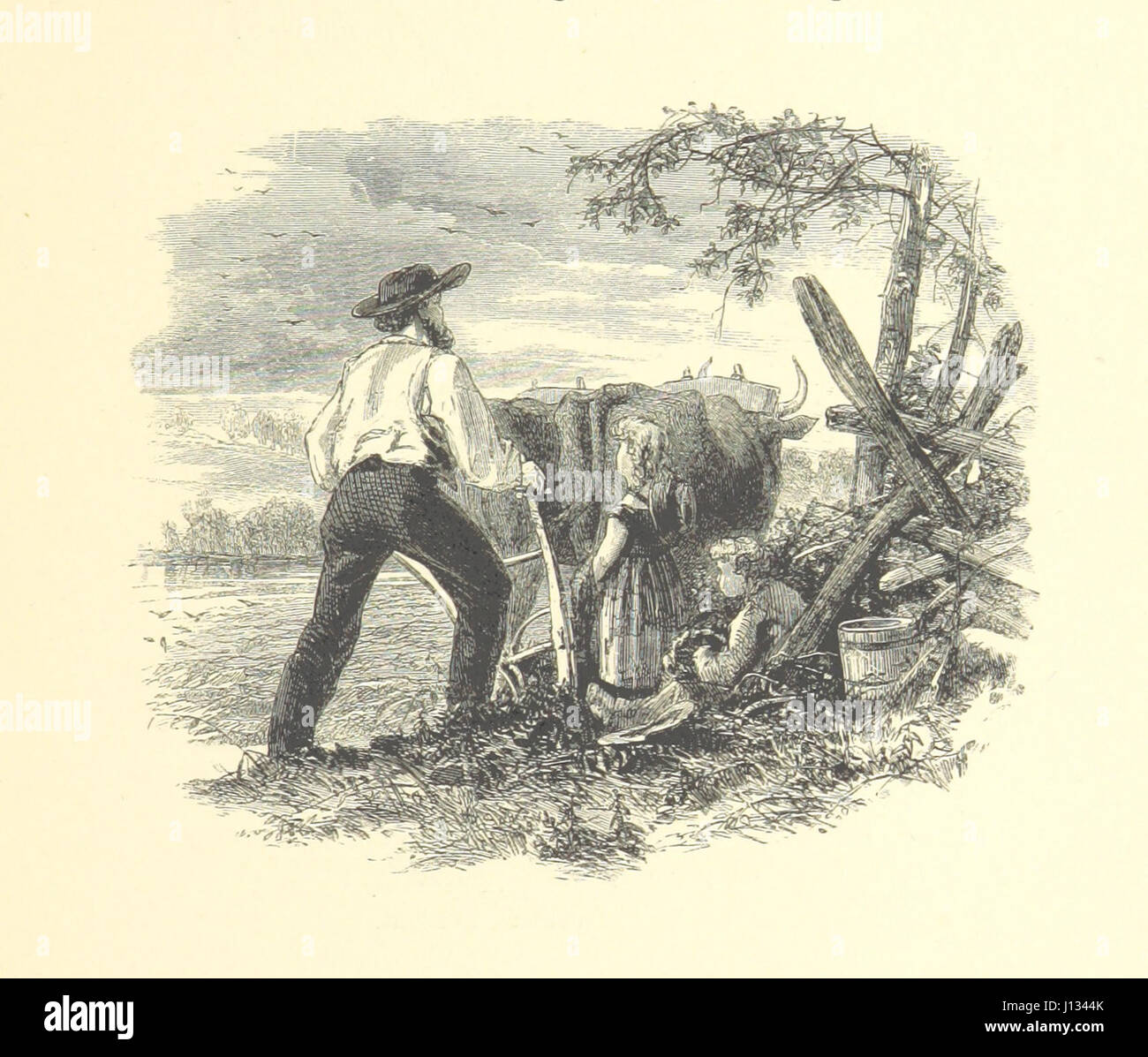 Festival della Canzone: una serie di serate con i poeti. Preparato dall ...