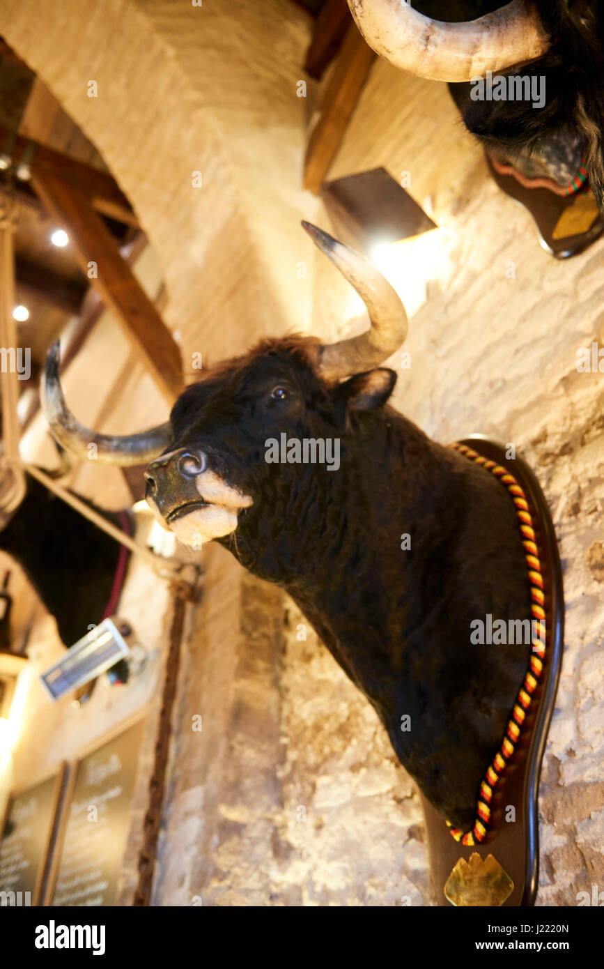 Muro del toro sud immagini e fotografie stock ad alta risoluzione - Alamy