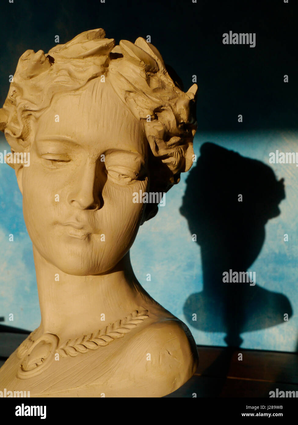 Anatomia del volto umano femminile immagini e fotografie stock ad alta ...