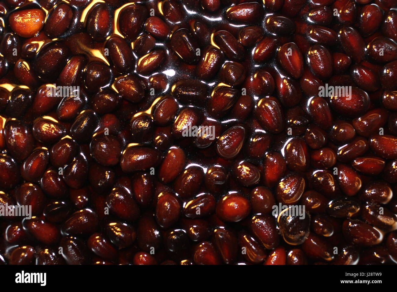 Pinoli siberiani immagini e fotografie stock ad alta risoluzione - Alamy