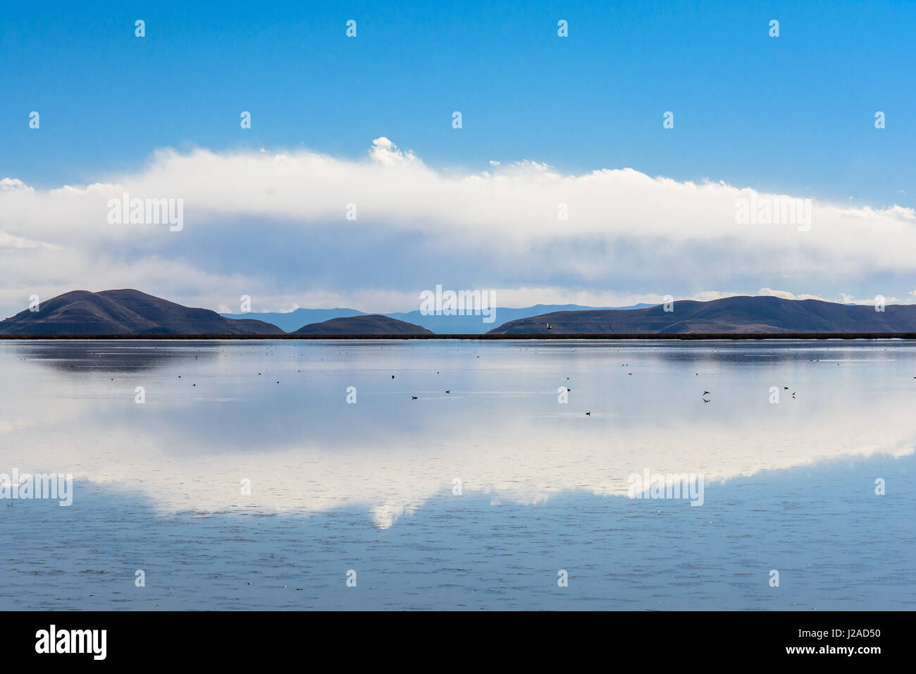 Lago lago poopo immagini e fotografie stock ad alta risoluzione - Alamy