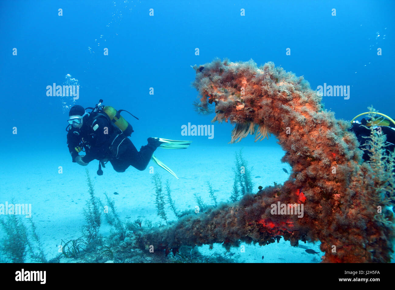 Rimorchiatore di alto mare immagini e fotografie stock ad alta ...