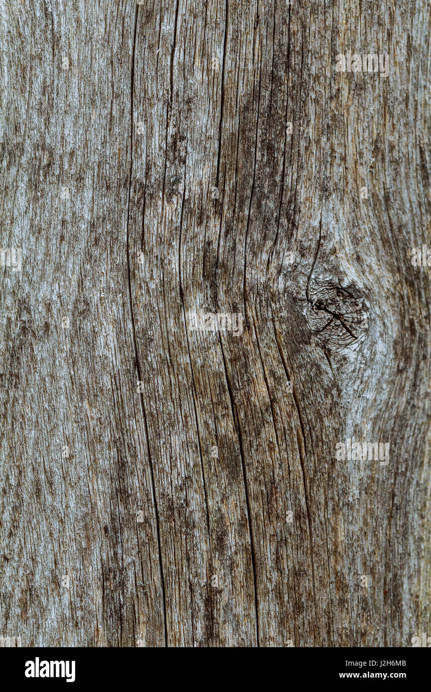 In legno antico legno di sfondo texture sfondi sfondo e concetto di ...