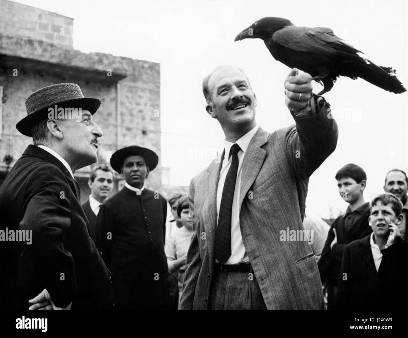 Uccellacci Uccellini Immagini e Fotos Stock - Alamy