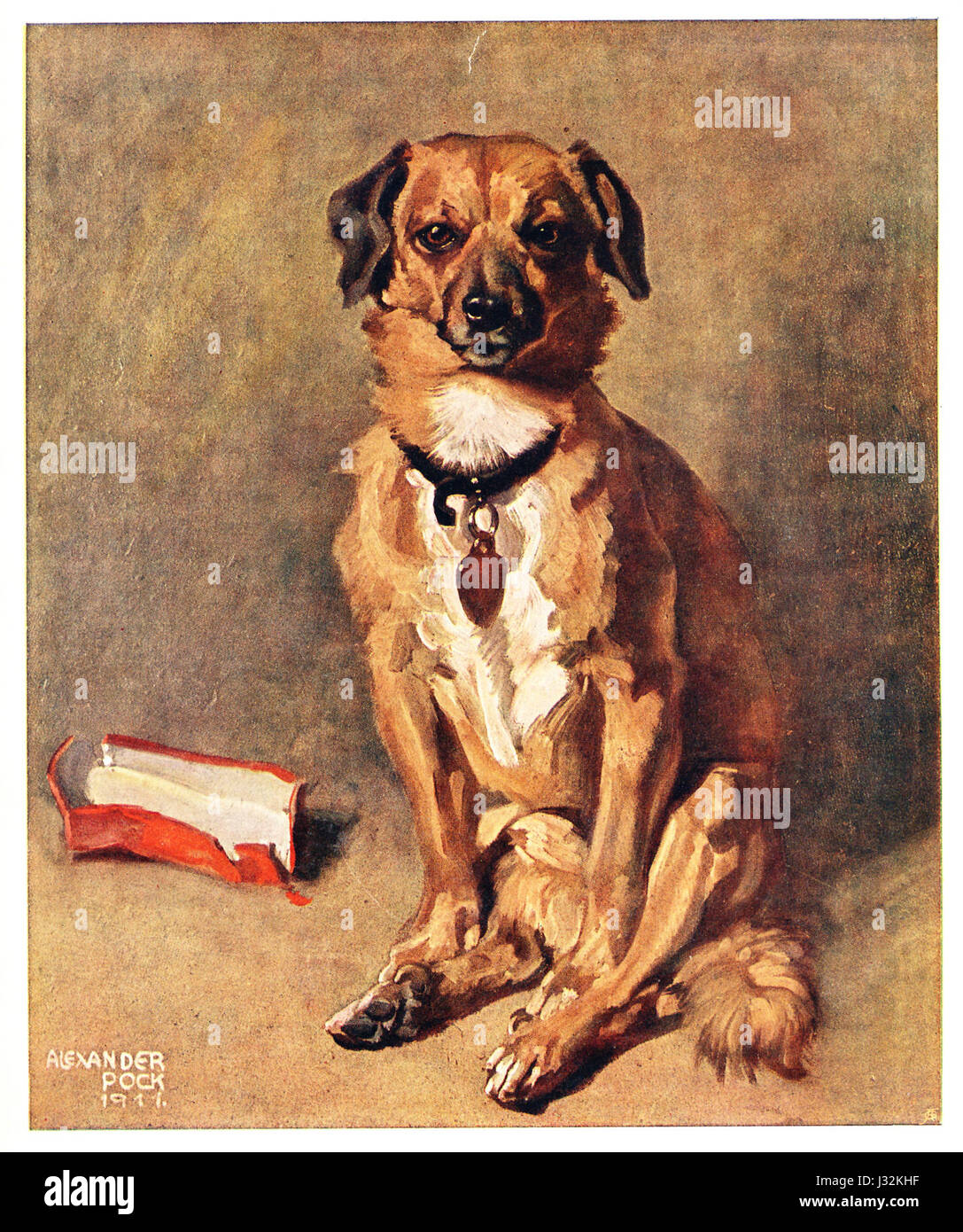 Mein liebling immagini e fotografie stock ad alta risoluzione - Alamy