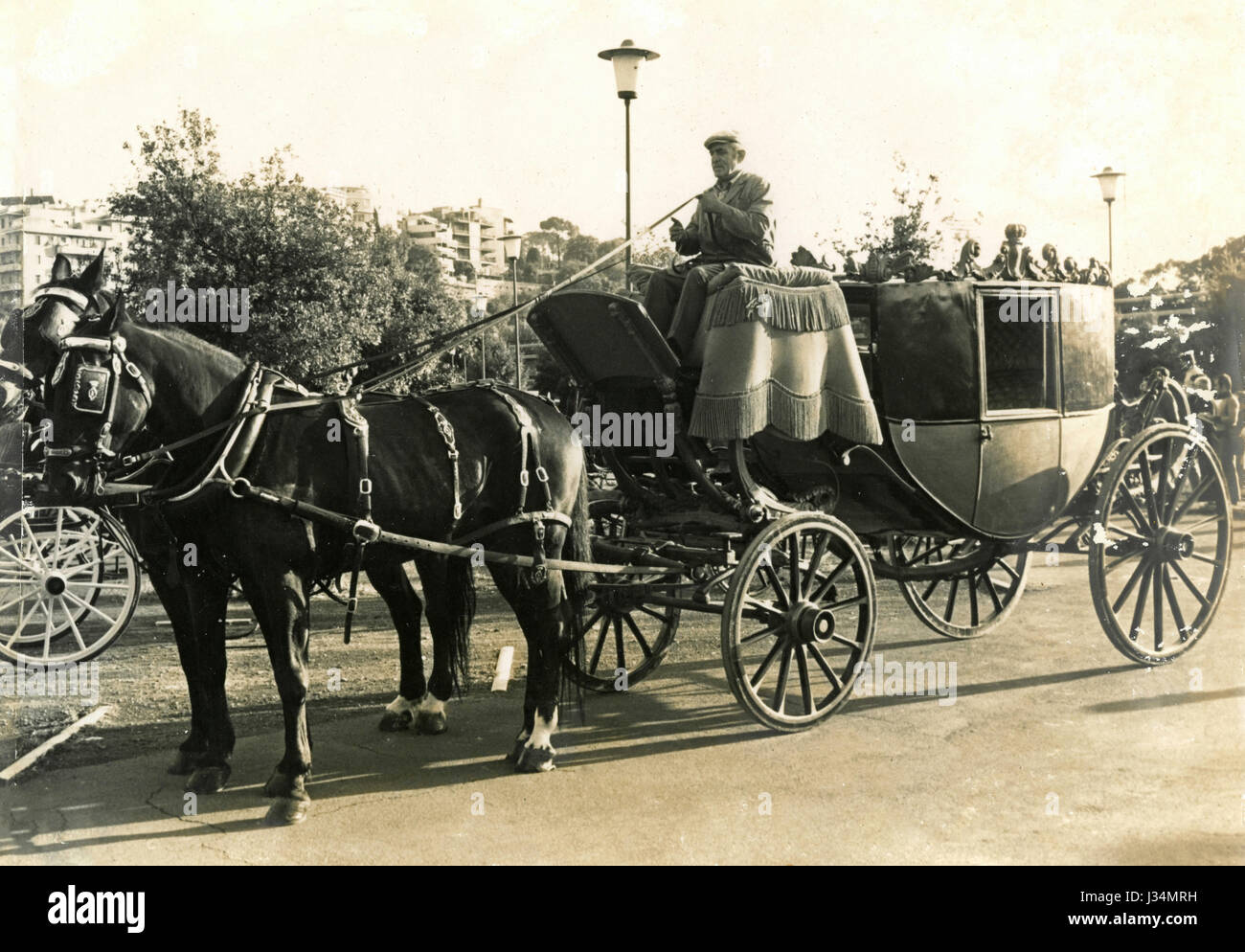 Carrozza trainata da cavalli bianchi immagini e fotografie stock ad ...