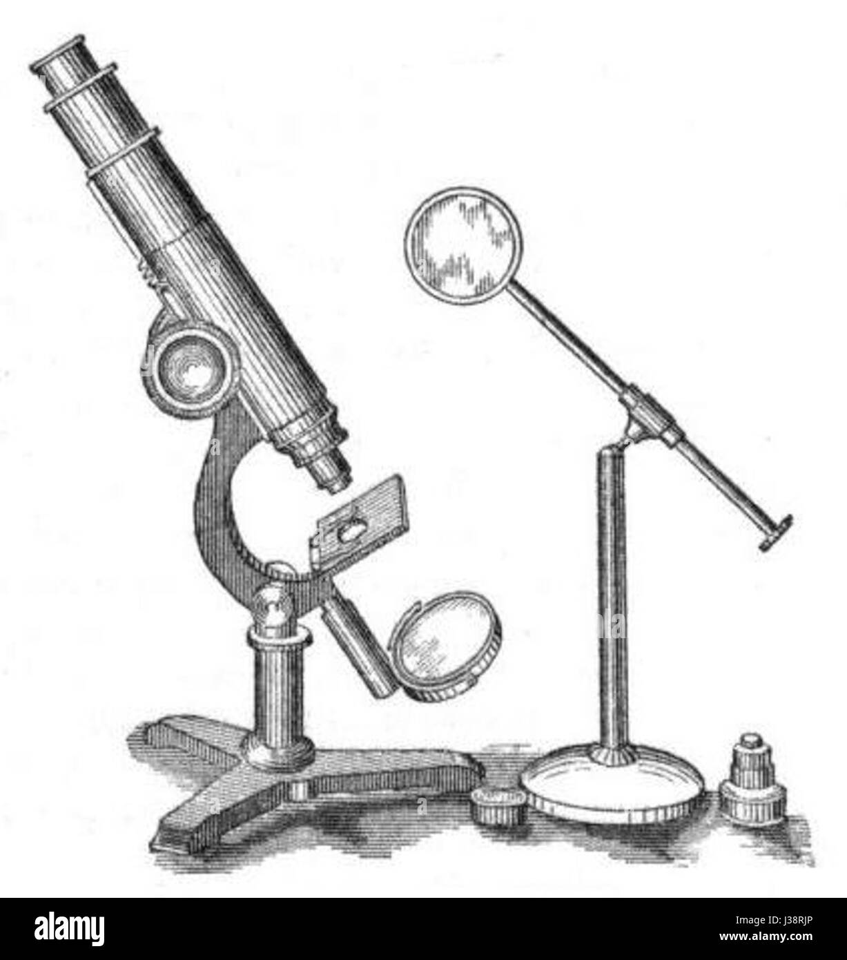 Microscopio Ottico Composto Clipart 948 Antique Microscope Stock