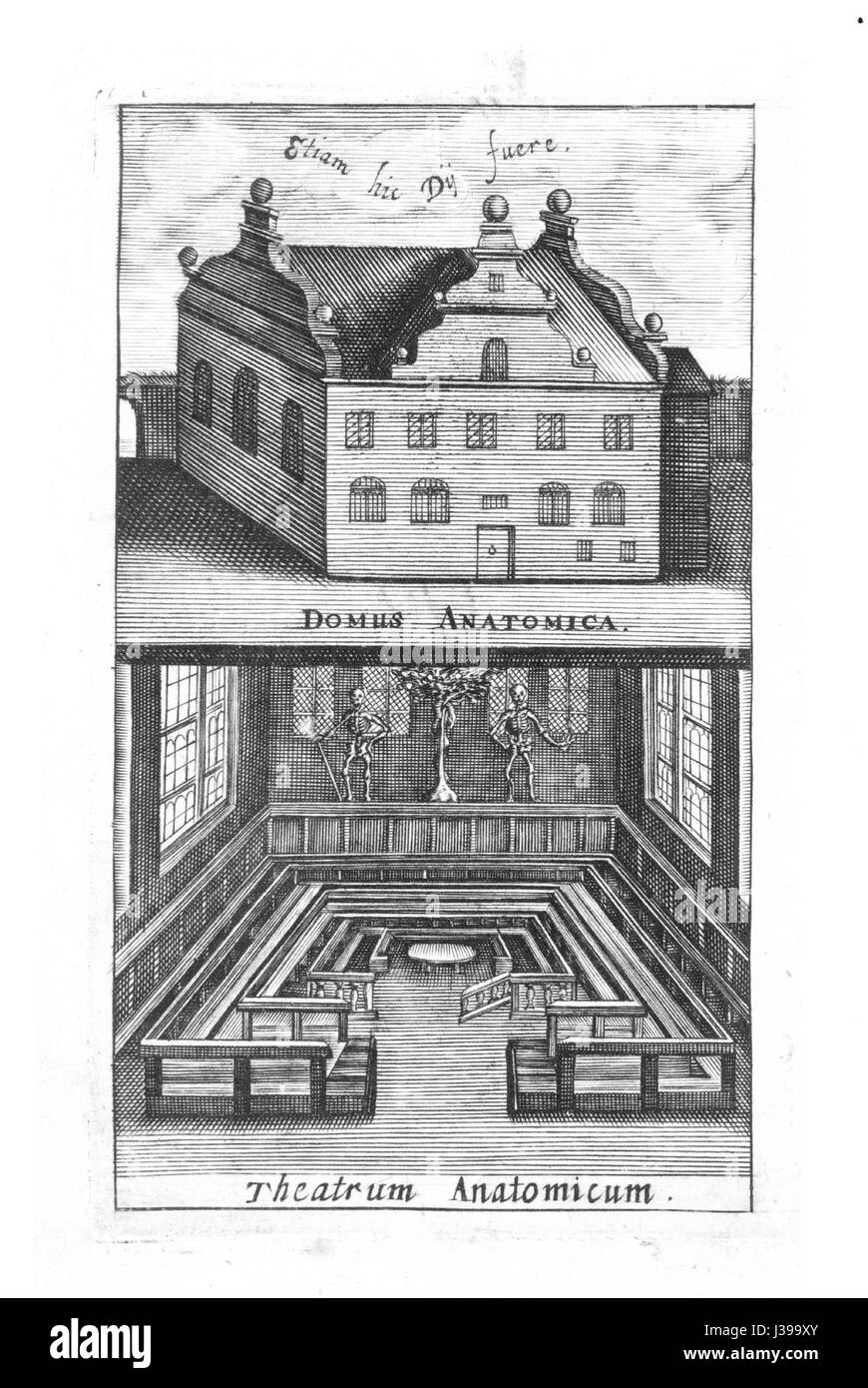18th century medical instruments Foto e Immagini Stock in Bianco e Nero ...