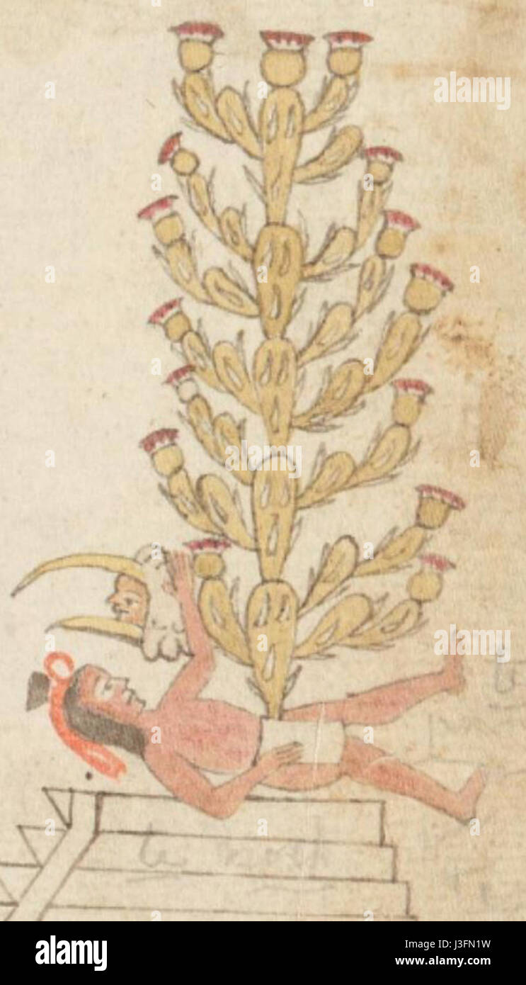 La Fondazione di Tenochtitlan, come raffigurato nel Codex Azcatitlan ...