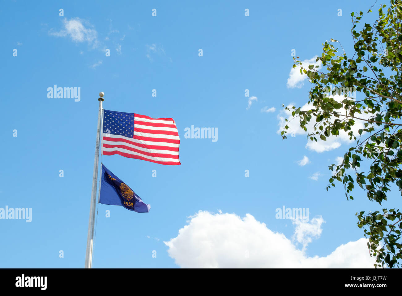 Bandiera dello stato dell'oregon immagini e fotografie stock ad alta ...