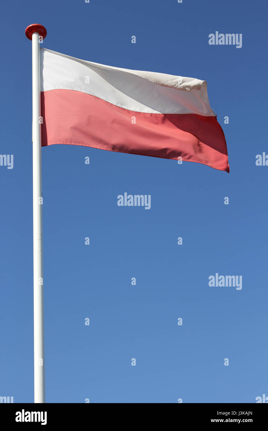 Bandiera polacca nel vento immagini e fotografie stock ad alta ...