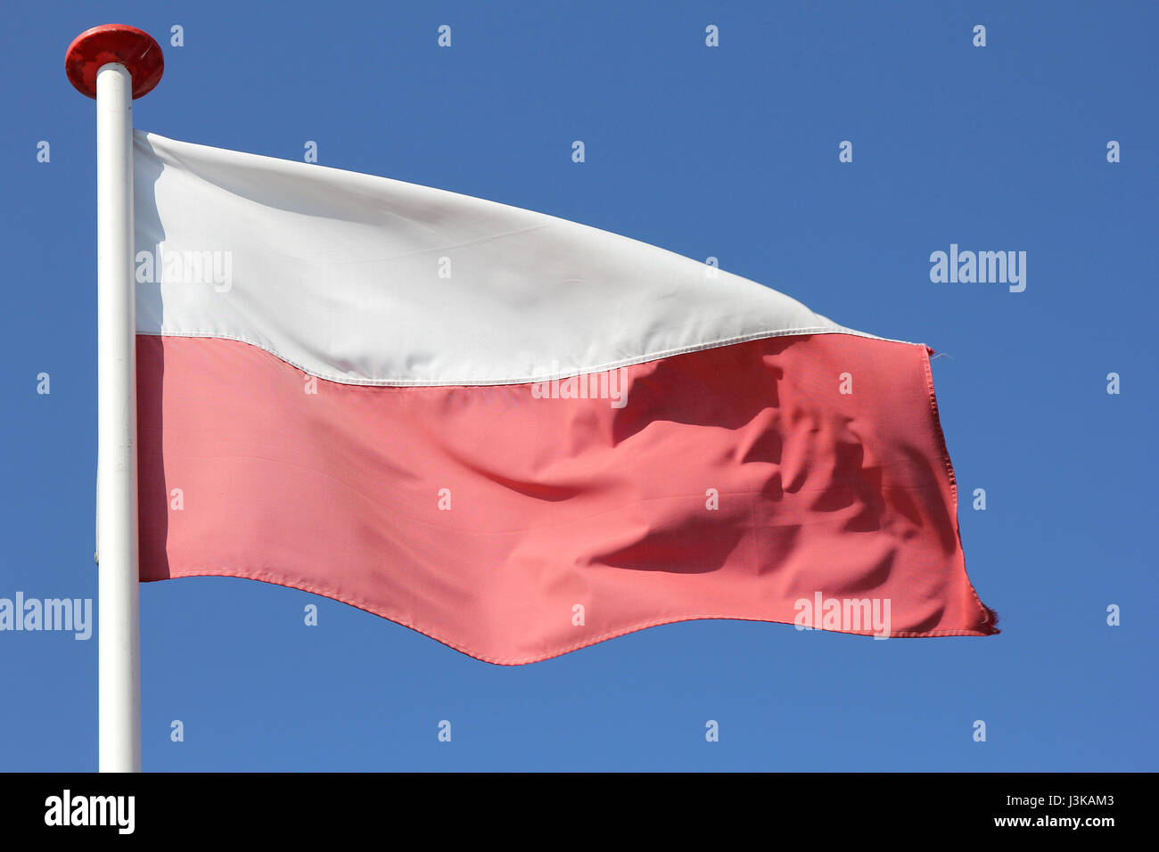 Popolazione polacca immagini e fotografie stock ad alta risoluzione - Alamy