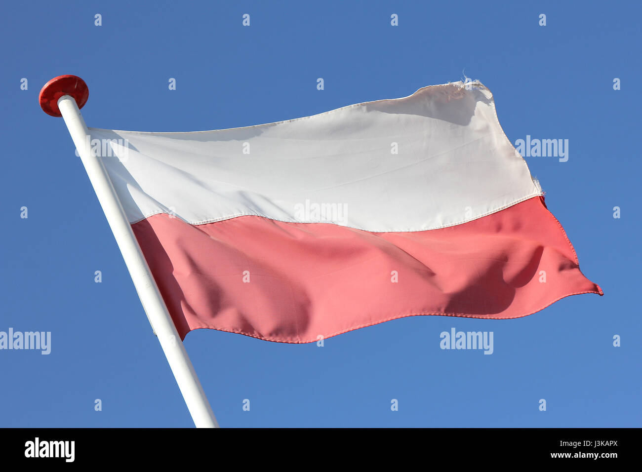 Popolazione polacca immagini e fotografie stock ad alta risoluzione - Alamy