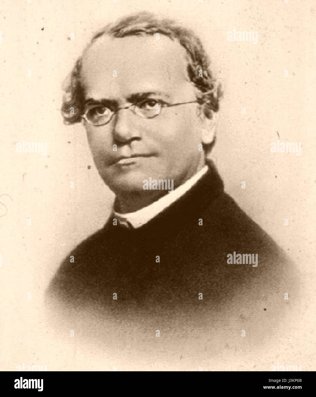 Gregor mendel portrait immagini e fotografie stock ad alta risoluzione ...