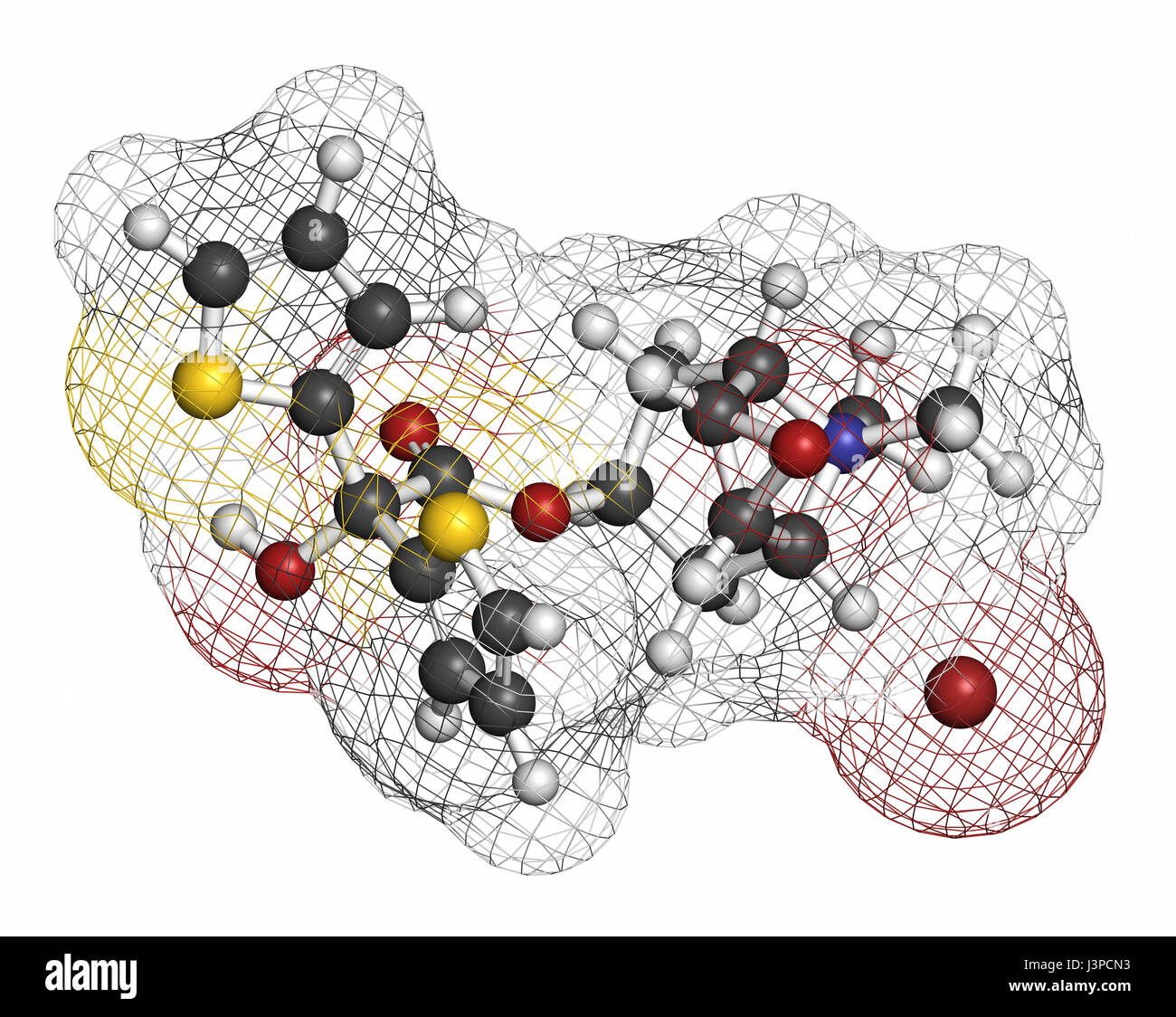 Tiotropio bromuro malattia polmonare ostruttiva cronica (COPD) molecola ...