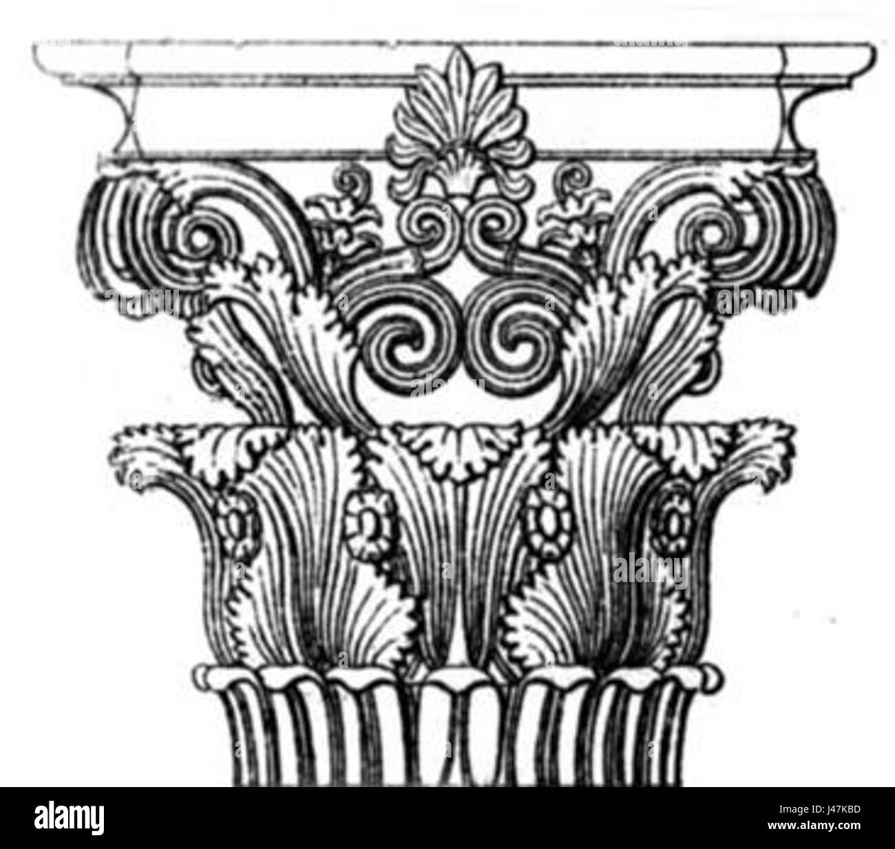 Illustrazione d'epoca di capitello corinzio antico immagini e ...