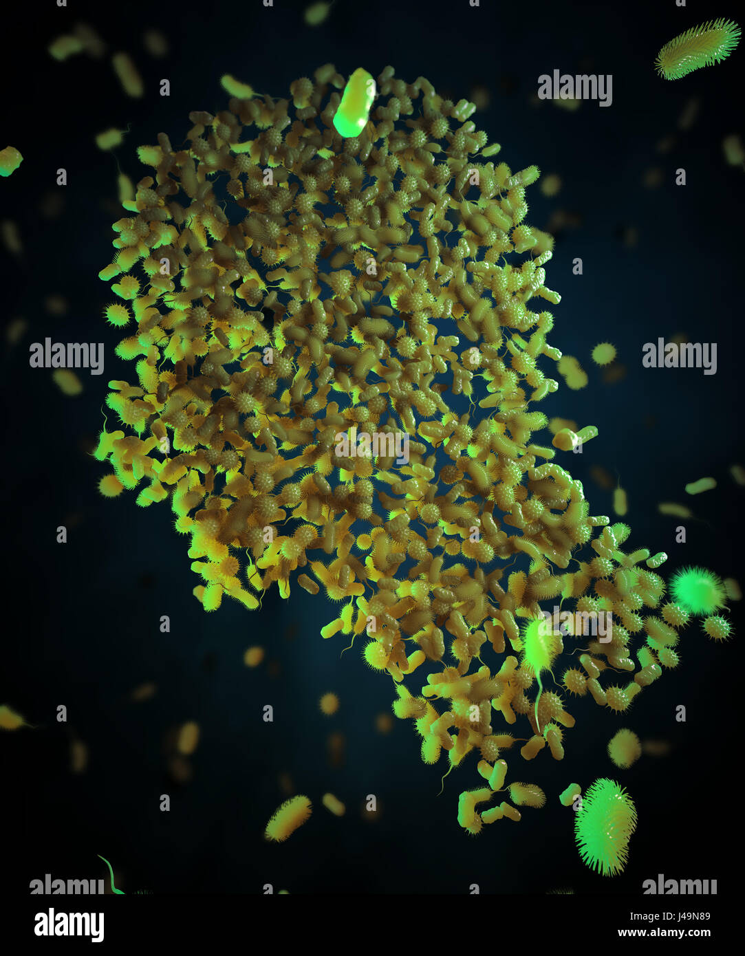 Cellula microbica immagini e fotografie stock ad alta risoluzione ...