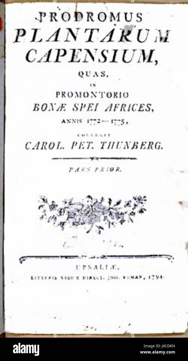 Prodromus plantarum immagini e fotografie stock ad alta risoluzione - Alamy