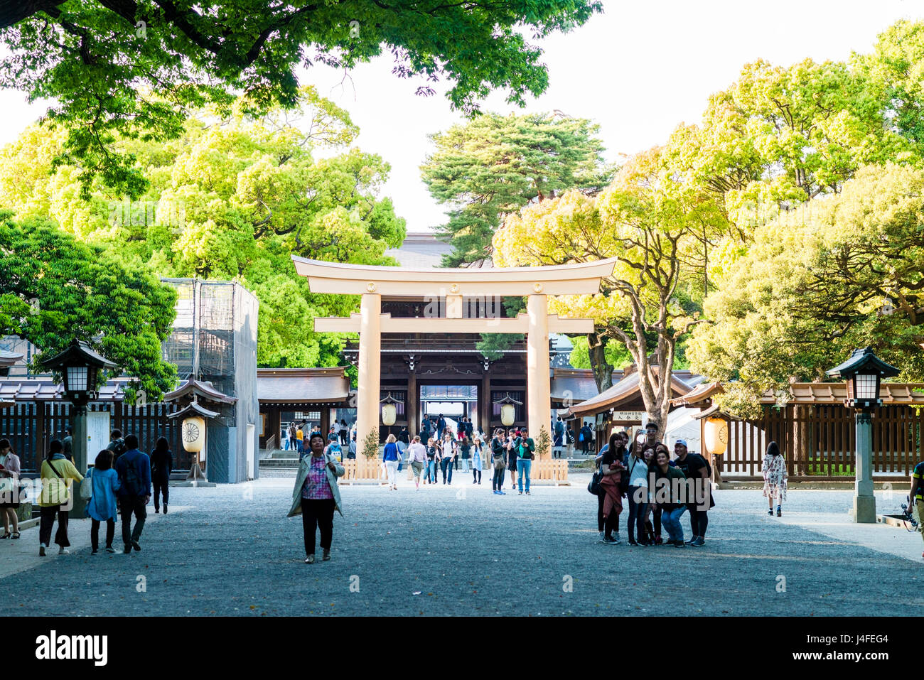 Primavera nella foresta di meiji jingu immagini e fotografie stock ad ...