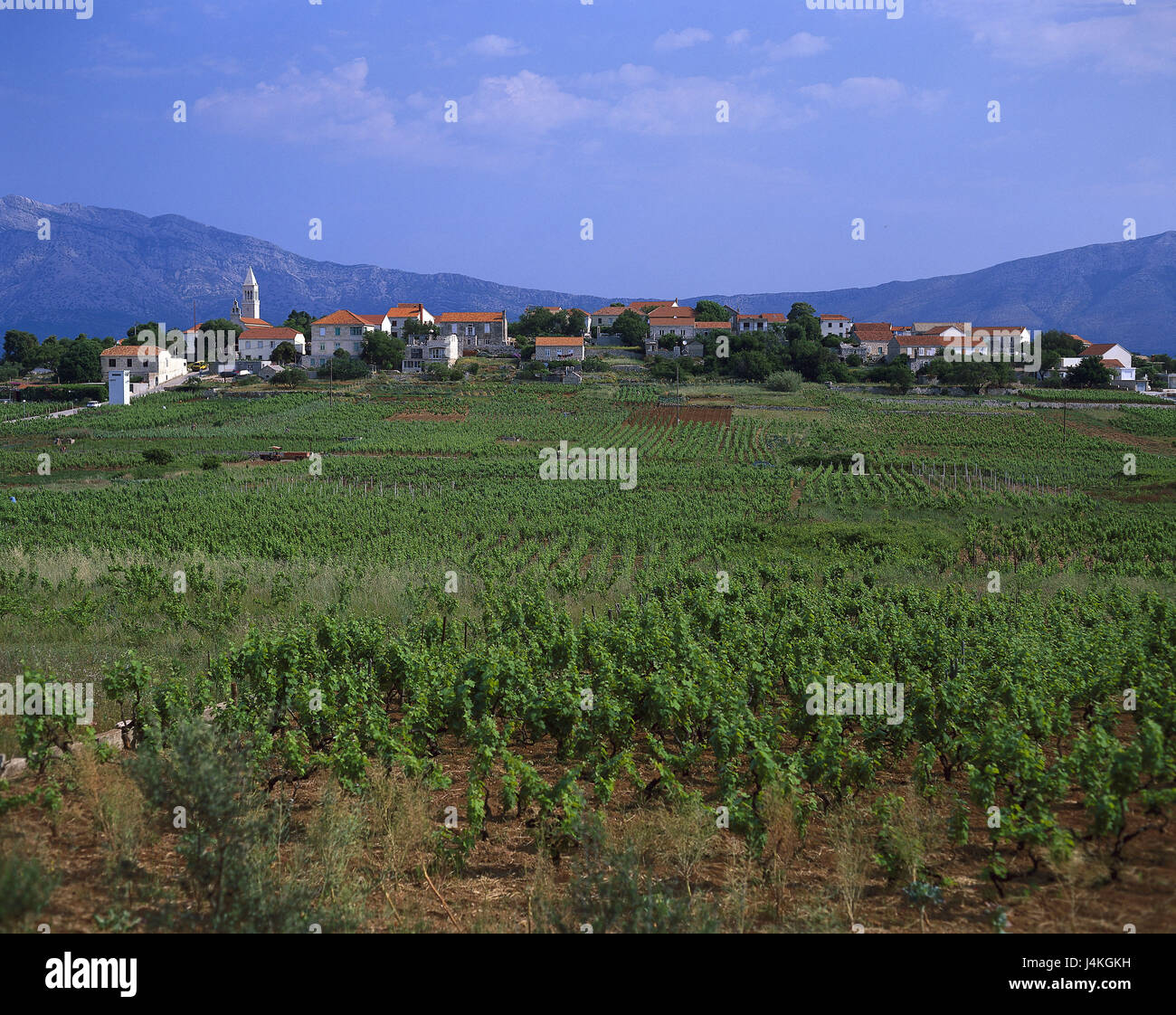 Isola di lesina immagini e fotografie stock ad alta risoluzione - Alamy