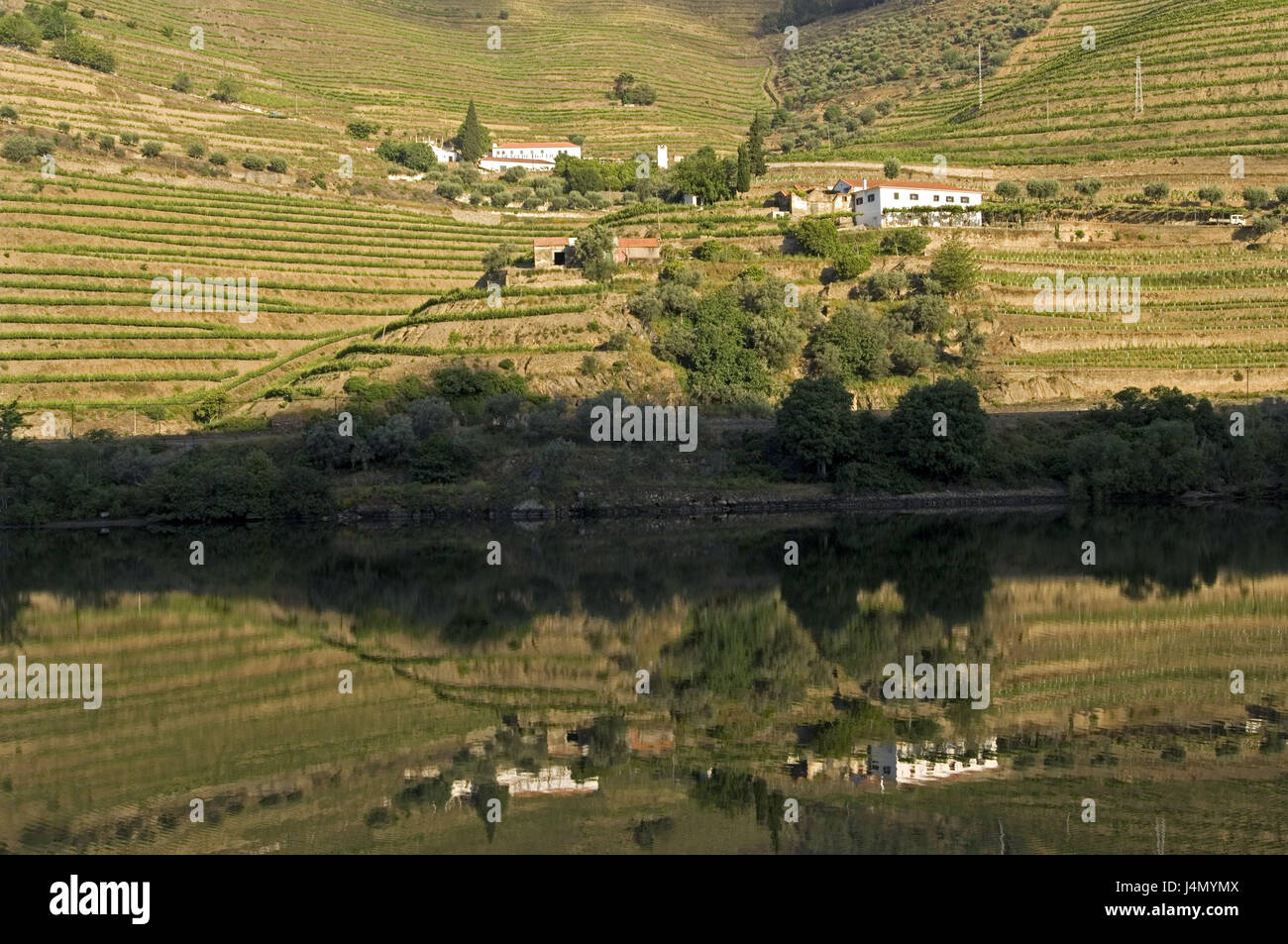 Scenario della valle del fiume douro immagini e fotografie stock ad ...