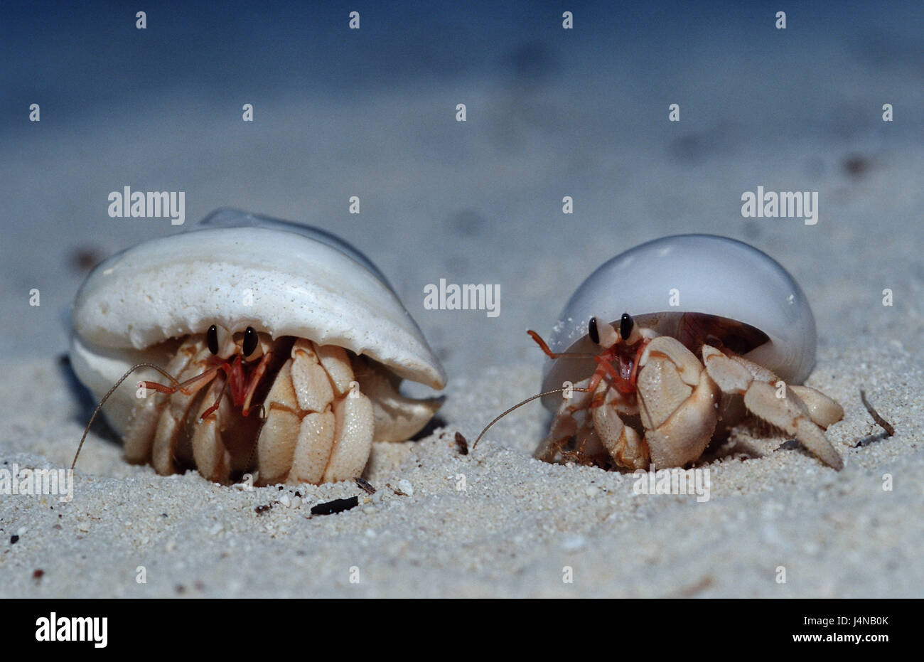 3 metri immagini e fotografie stock ad alta risoluzione - Alamy