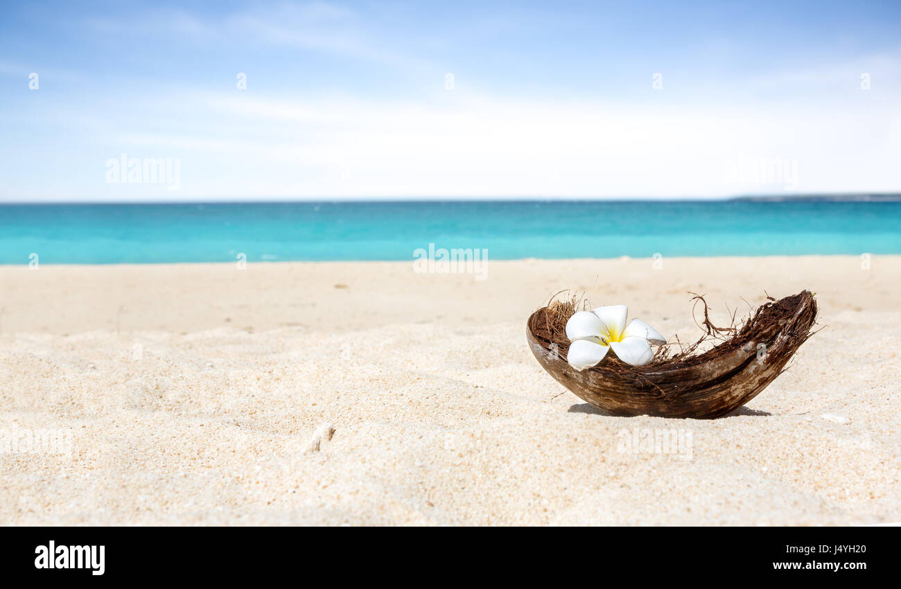 Frangipani beach resort immagini e fotografie stock ad alta risoluzione ...