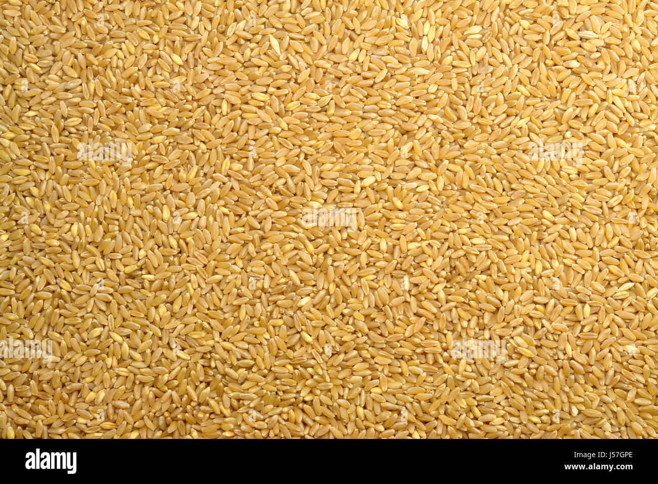 Grain texture immagini e fotografie stock ad alta risoluzione - Alamy