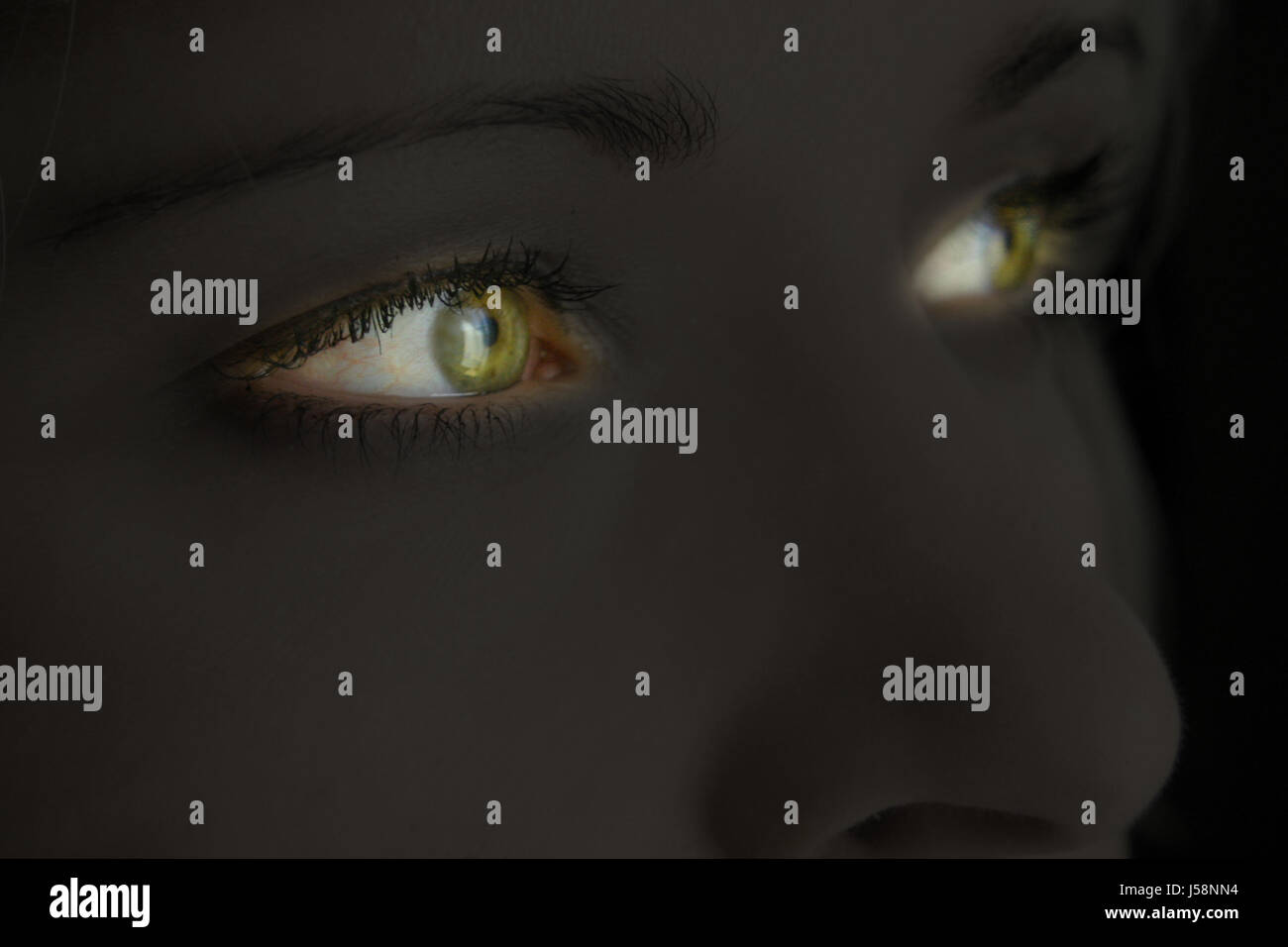 Come una pantera immagini e fotografie stock ad alta risoluzione - Alamy