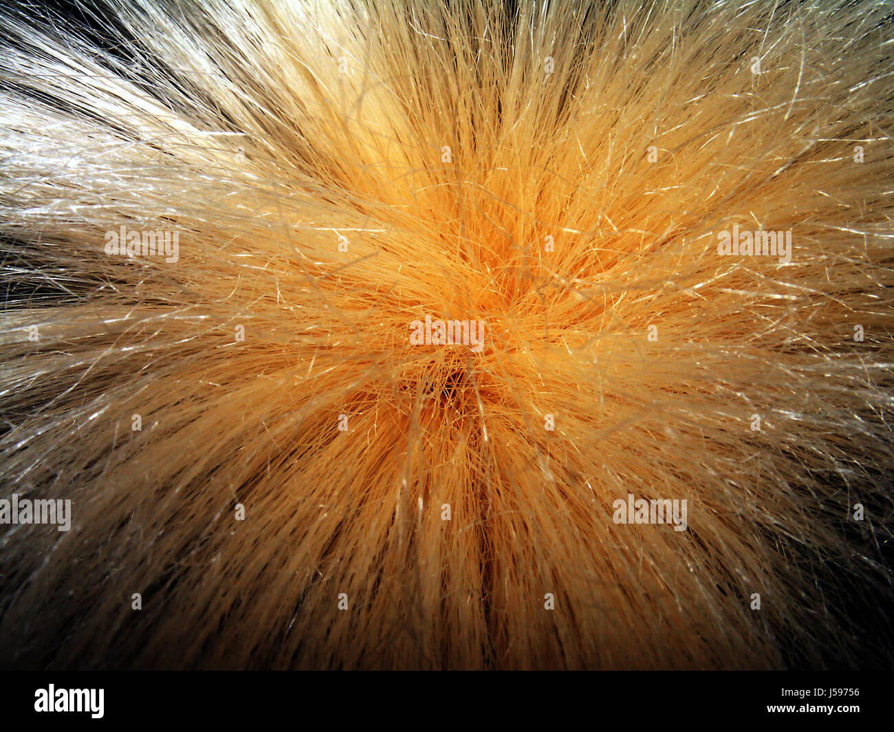 Doppie punte immagini e fotografie stock ad alta risoluzione - Alamy