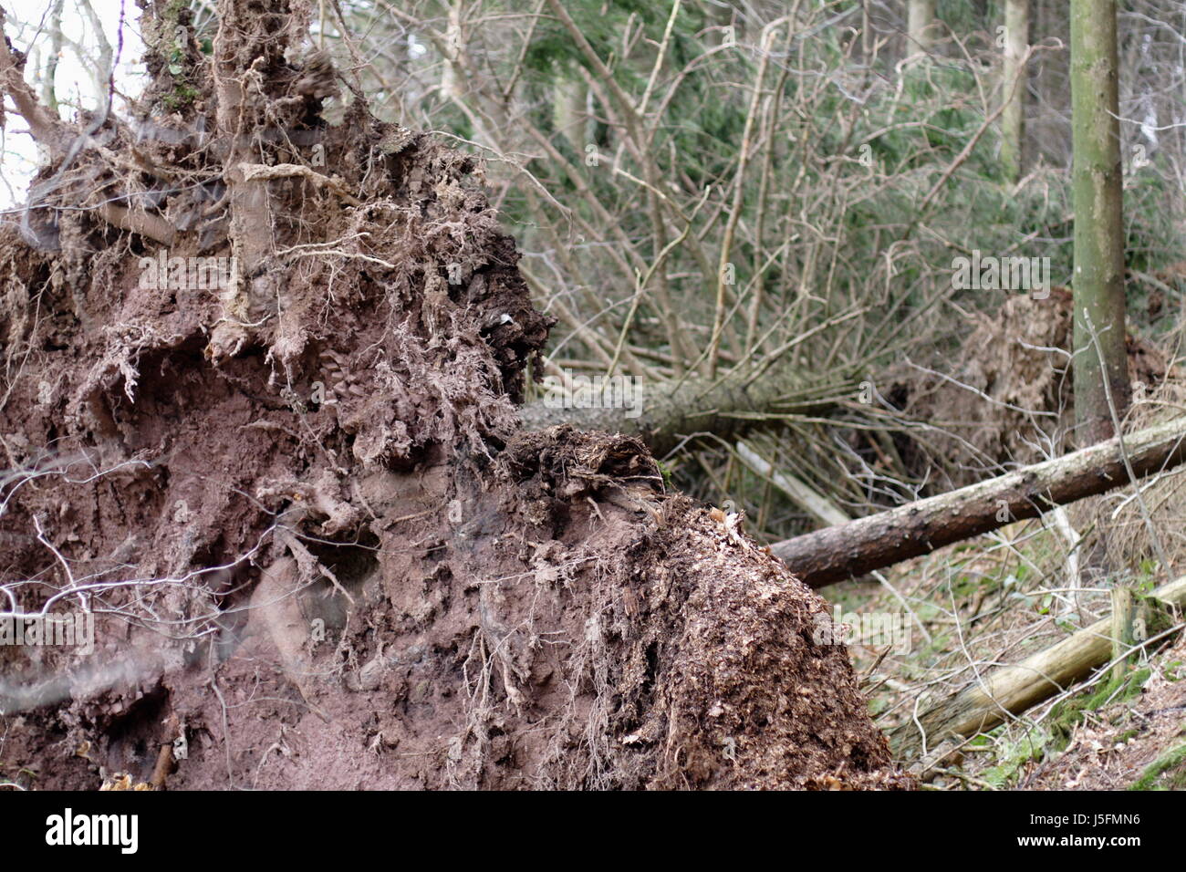 Via col vento bacio immagini e fotografie stock ad alta risoluzione - Alamy