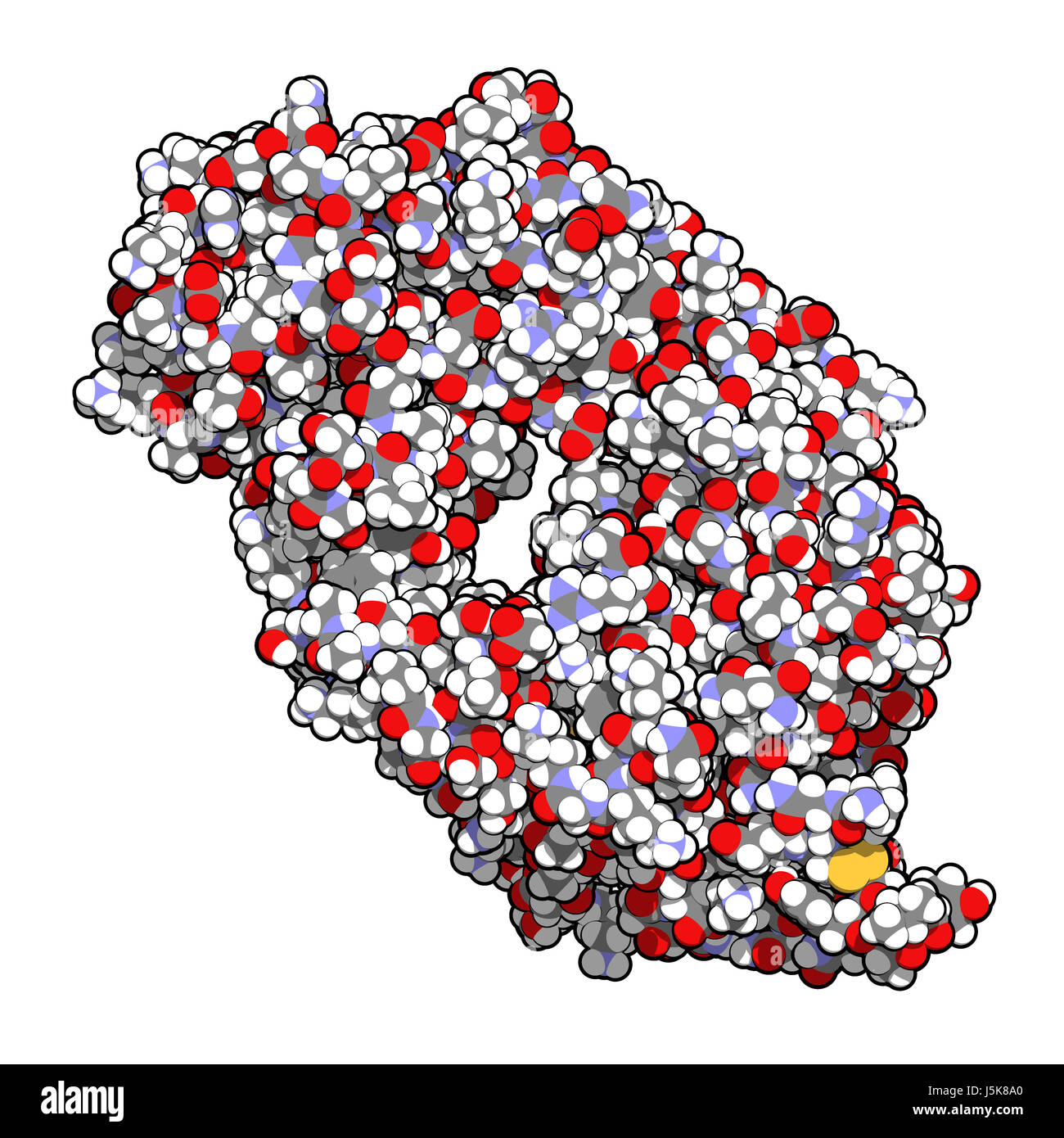 Pemfigo volgare immagini e fotografie stock ad alta risoluzione - Alamy