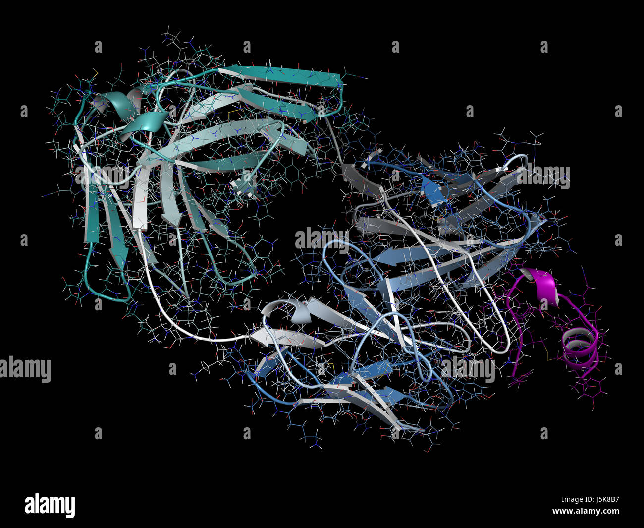 Linfocita b immagini e fotografie stock ad alta risoluzione - Alamy