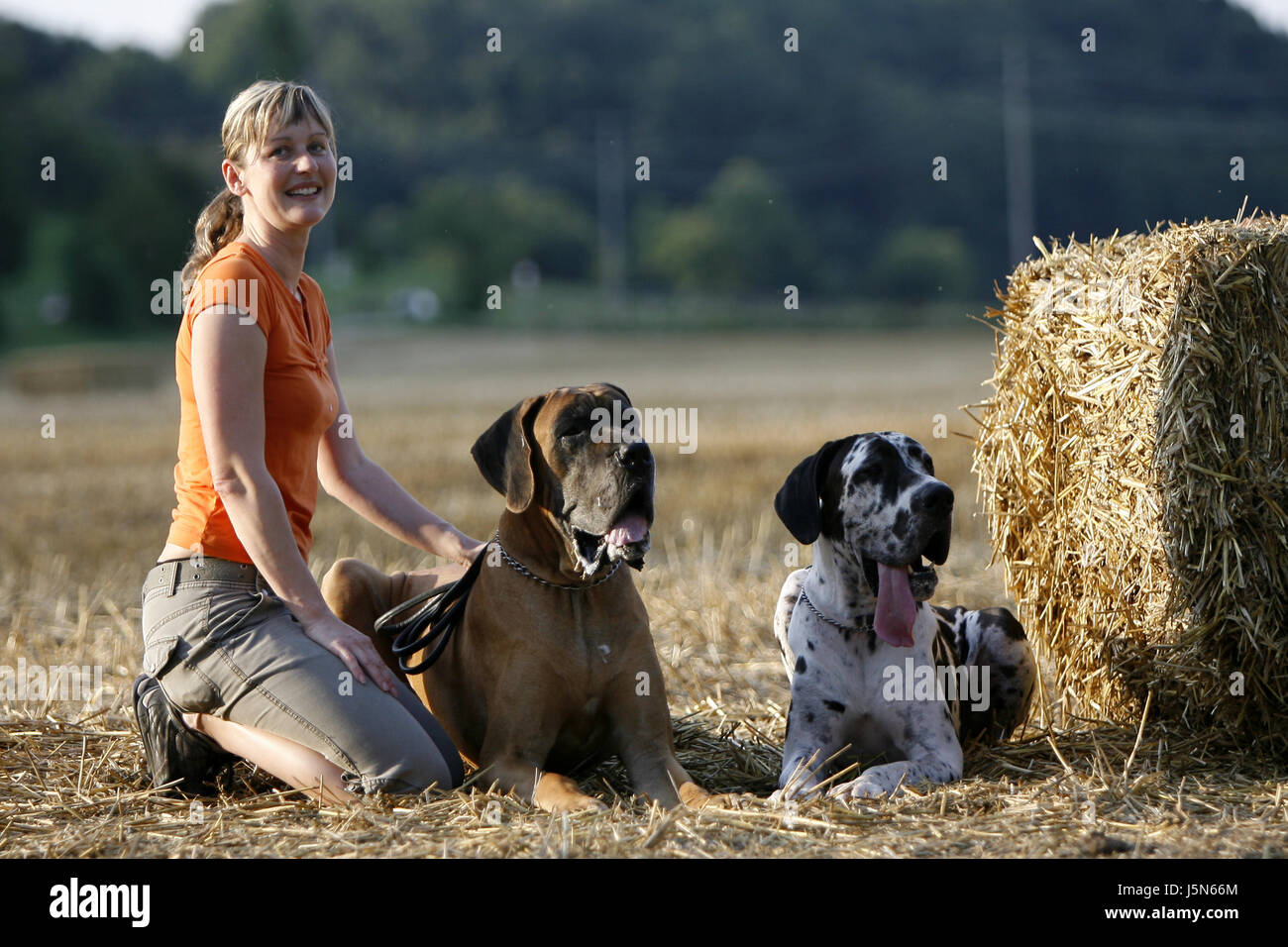 Donna e i suoi cani immagini e fotografie stock ad alta risoluzione - Alamy