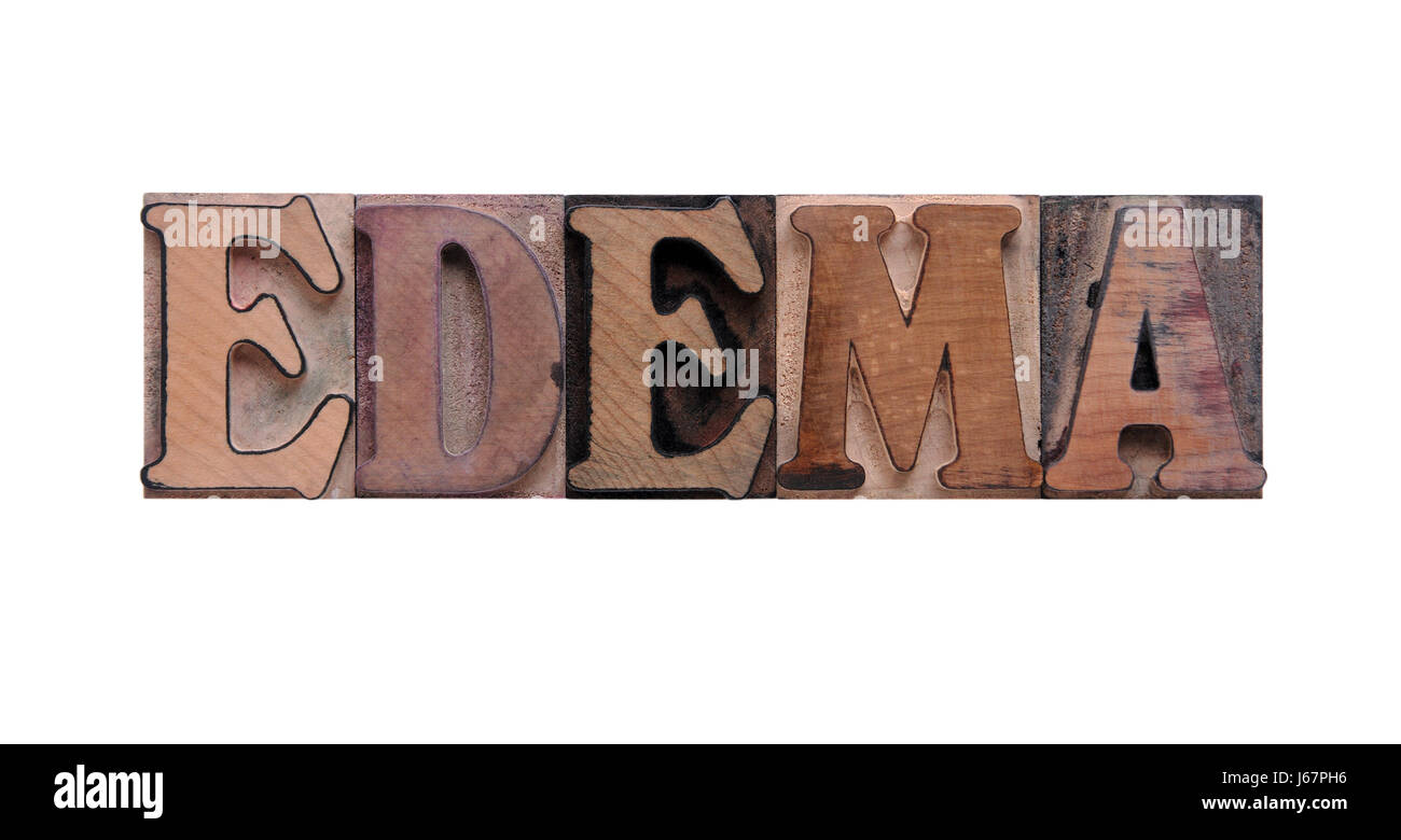 Tipo costruire il modello di lettere di scrittura di parola font ...