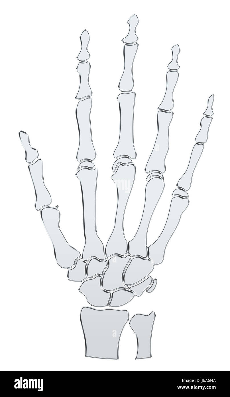 Mano scheletro immagini e fotografie stock ad alta risoluzione - Alamy