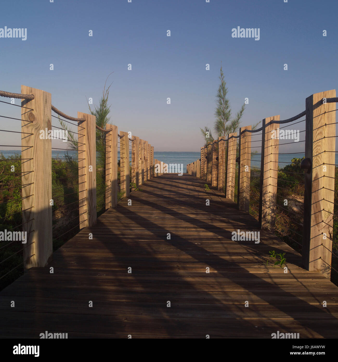 Legno mare Spiaggia Spiaggia Spiaggia di legno tropicale dei caraibi ...