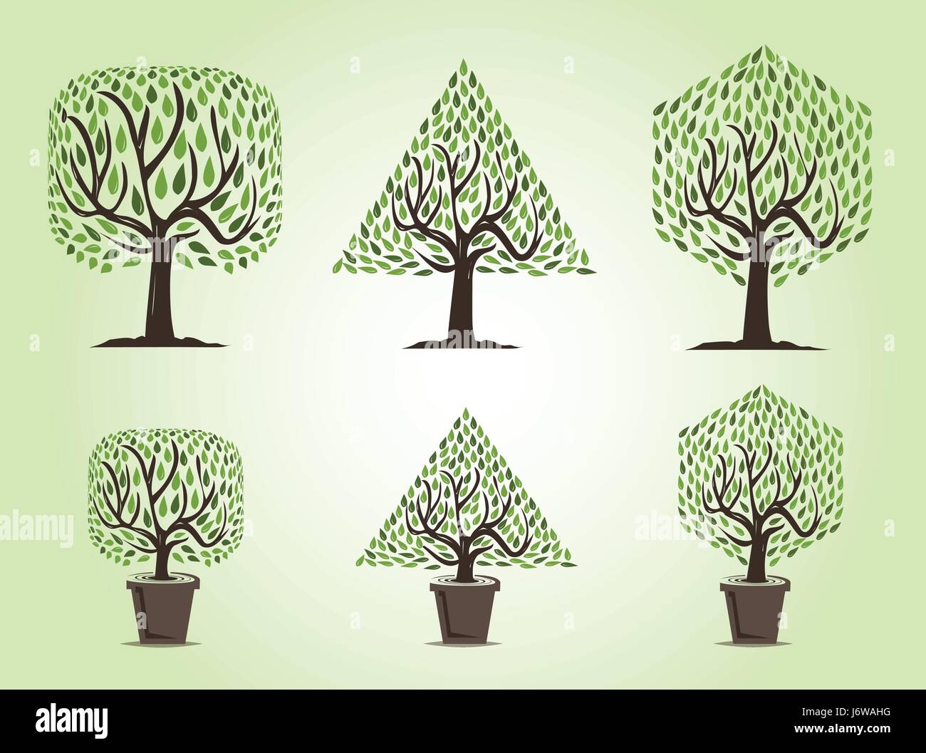 Set di albero con due tipi di alberi : il giardino di alberi e alberi ...