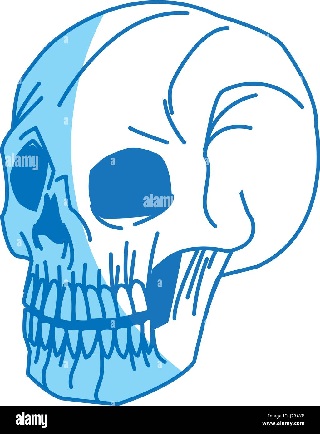 Storia dell'anatomia Immagini Vettoriali Stock - Alamy