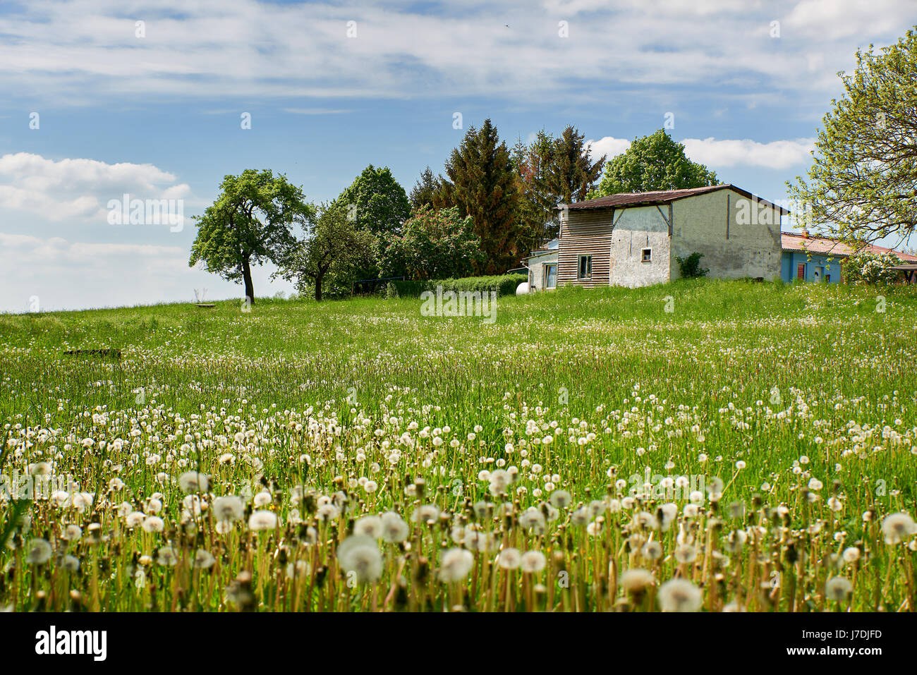Campagna tranquilla immagini e fotografie stock ad alta risoluzione - Alamy